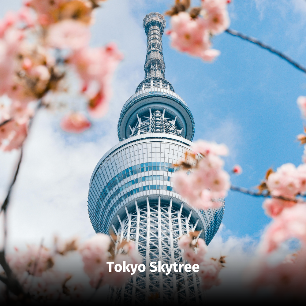 DIY Travel: Solo in Tokyo on a Budget | Berjaya Sompo Insurance